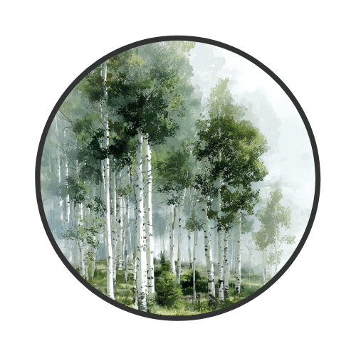 Pando - The Champion of Time