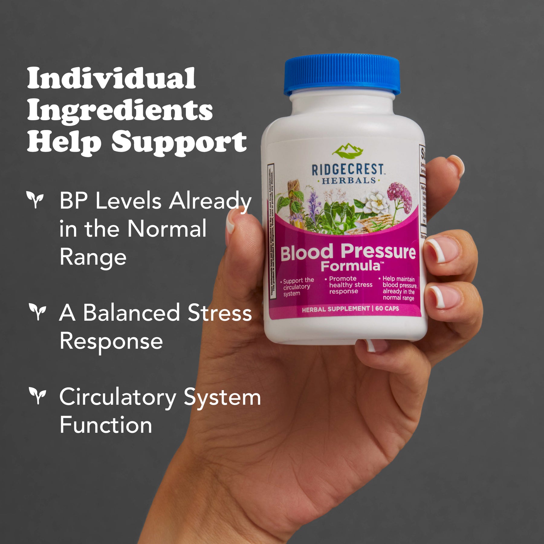 Blood Pressure Formula™
